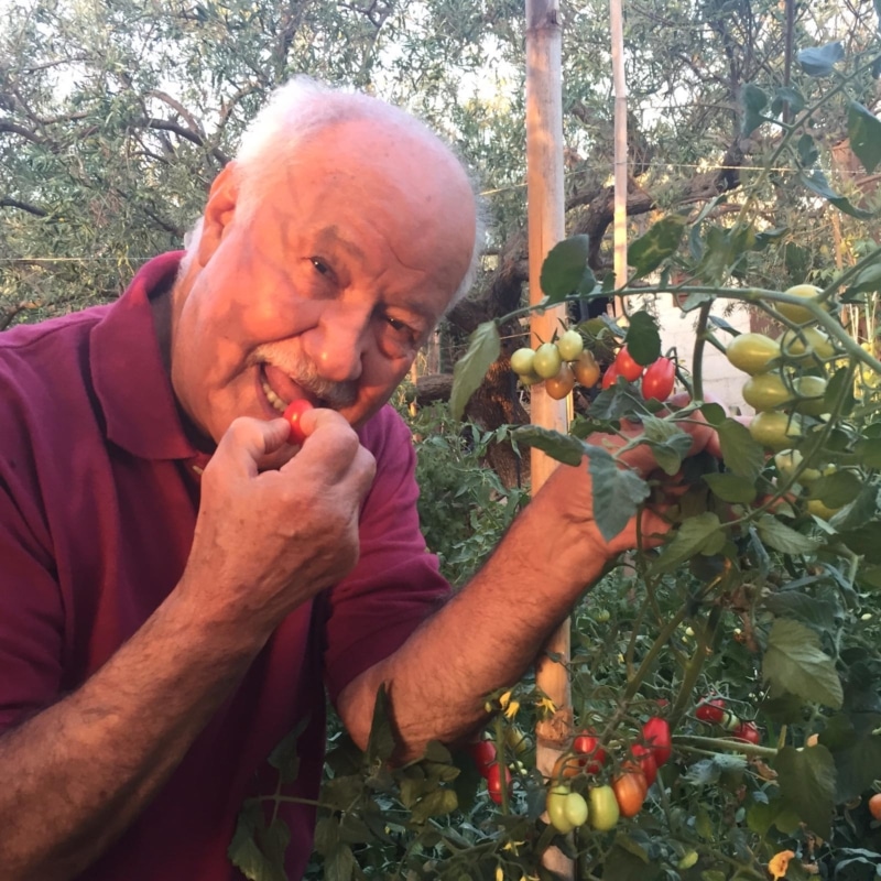 CHEF SAL IMPASTATO - Sal & Judy's